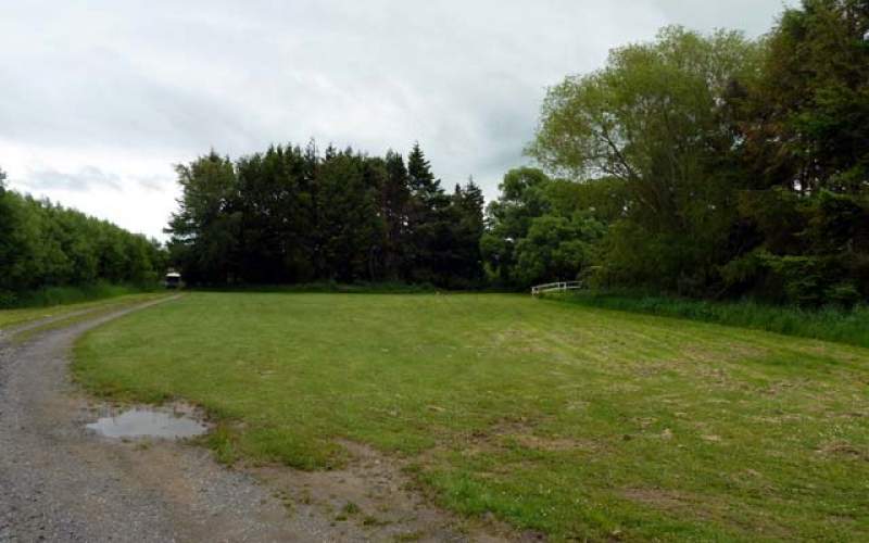 Aparima Bridge River Bank | Freedom/Basic Camp | New Zealand